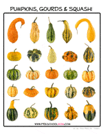 Pumpkin Preschool Printables - Preschool Mom