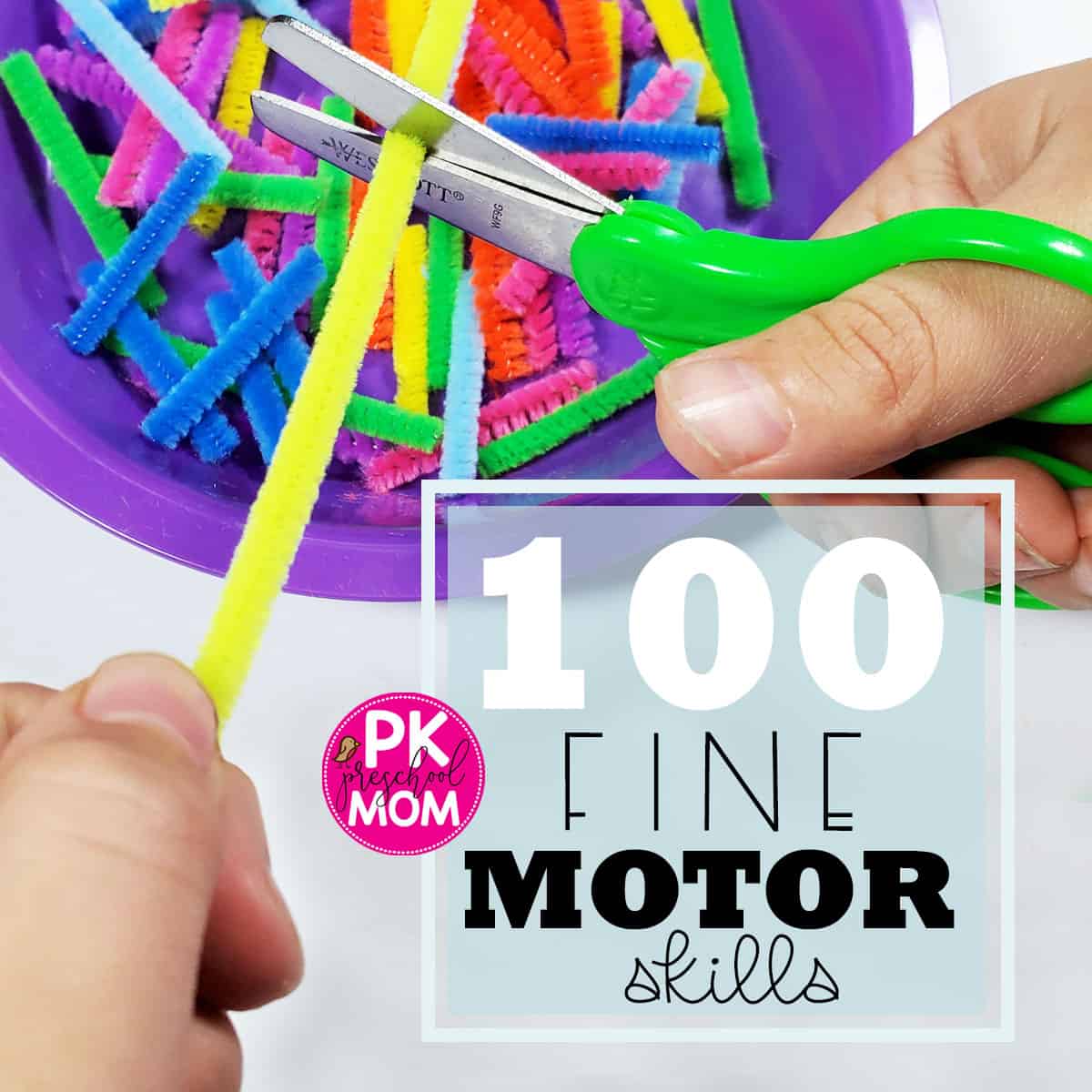 Ultimate Fine Motor Skills Checklist: 100 Fine Motor Skills for Kids ...